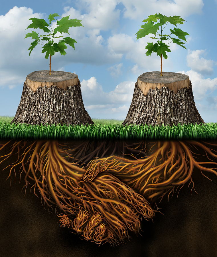 How To: Host a Successful Shredding Event | Shred Nations